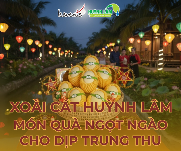 XOÀI CÁT HUỲNH LÂM - MÓN QUÀ NGỌT NGÀO CHO DỊP TRUNG THU